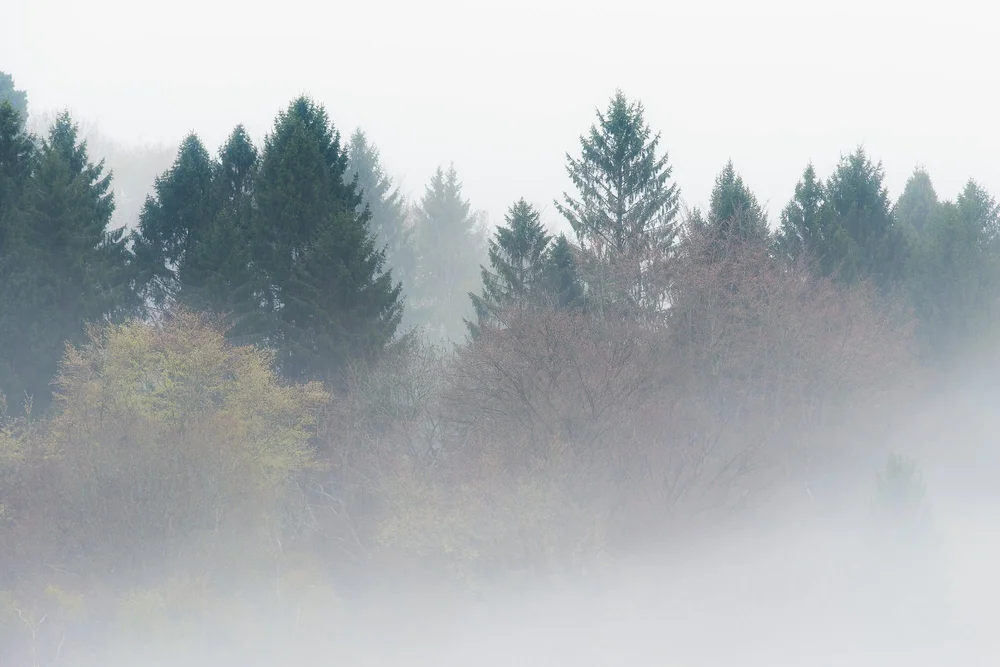 How to Capture Sharp Photos with a Telephoto Lens: Expert Tips | Trevor ...