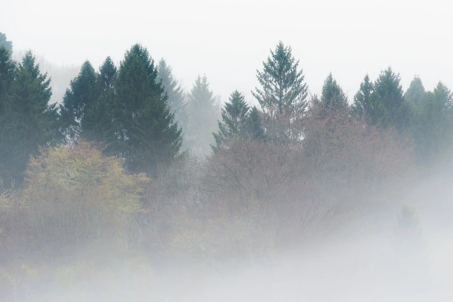 How to Capture Sharp Photos with a Telephoto Lens: Expert Tips | Trevor ...