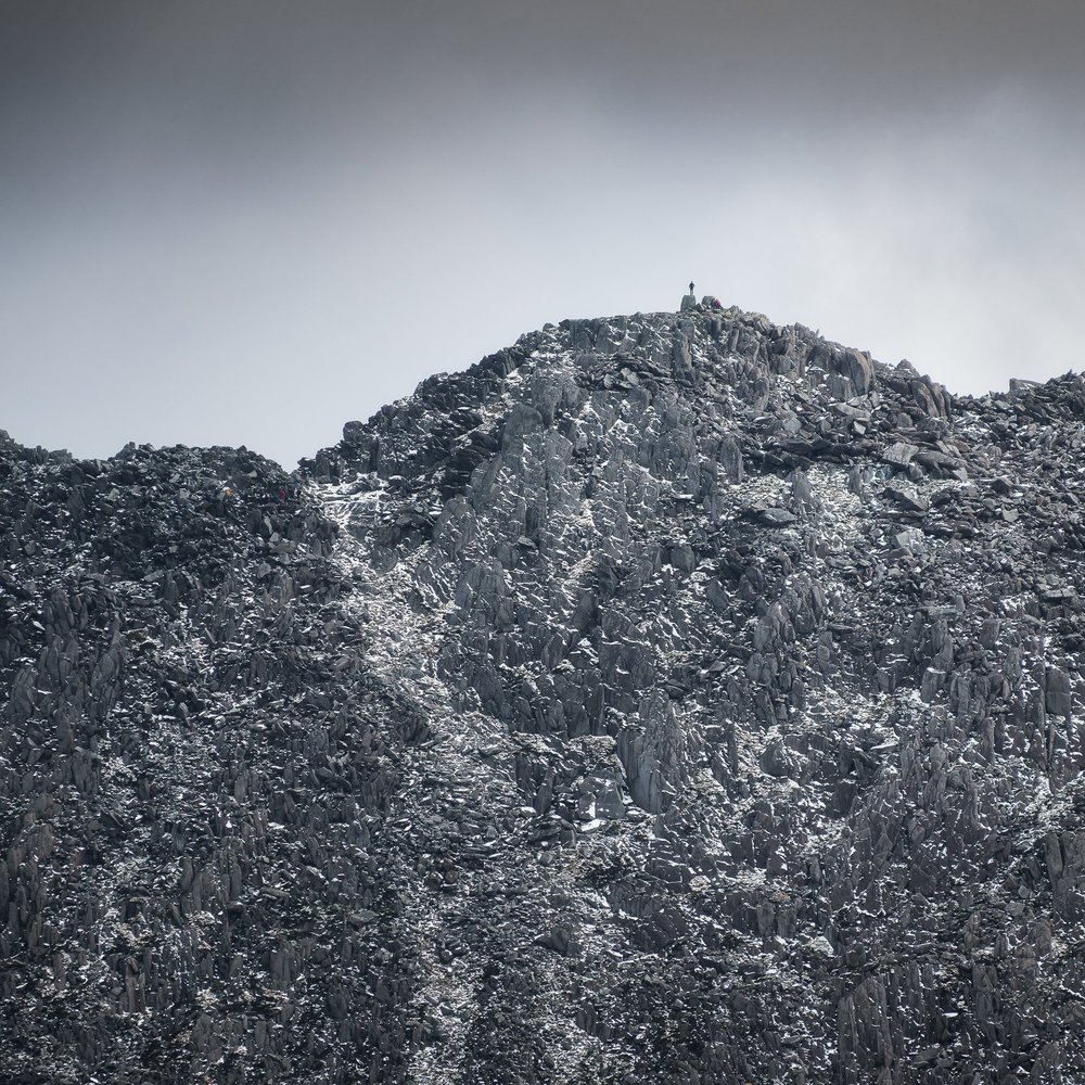 How to Capture Sharp Photos with a Telephoto Lens: Expert Tips | Trevor ...