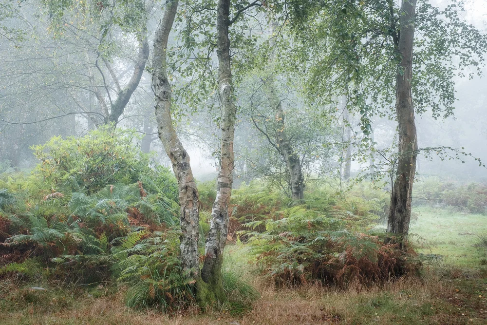 My Favourite Landscape Photos from 2023 | Trevor Sherwin Photography
