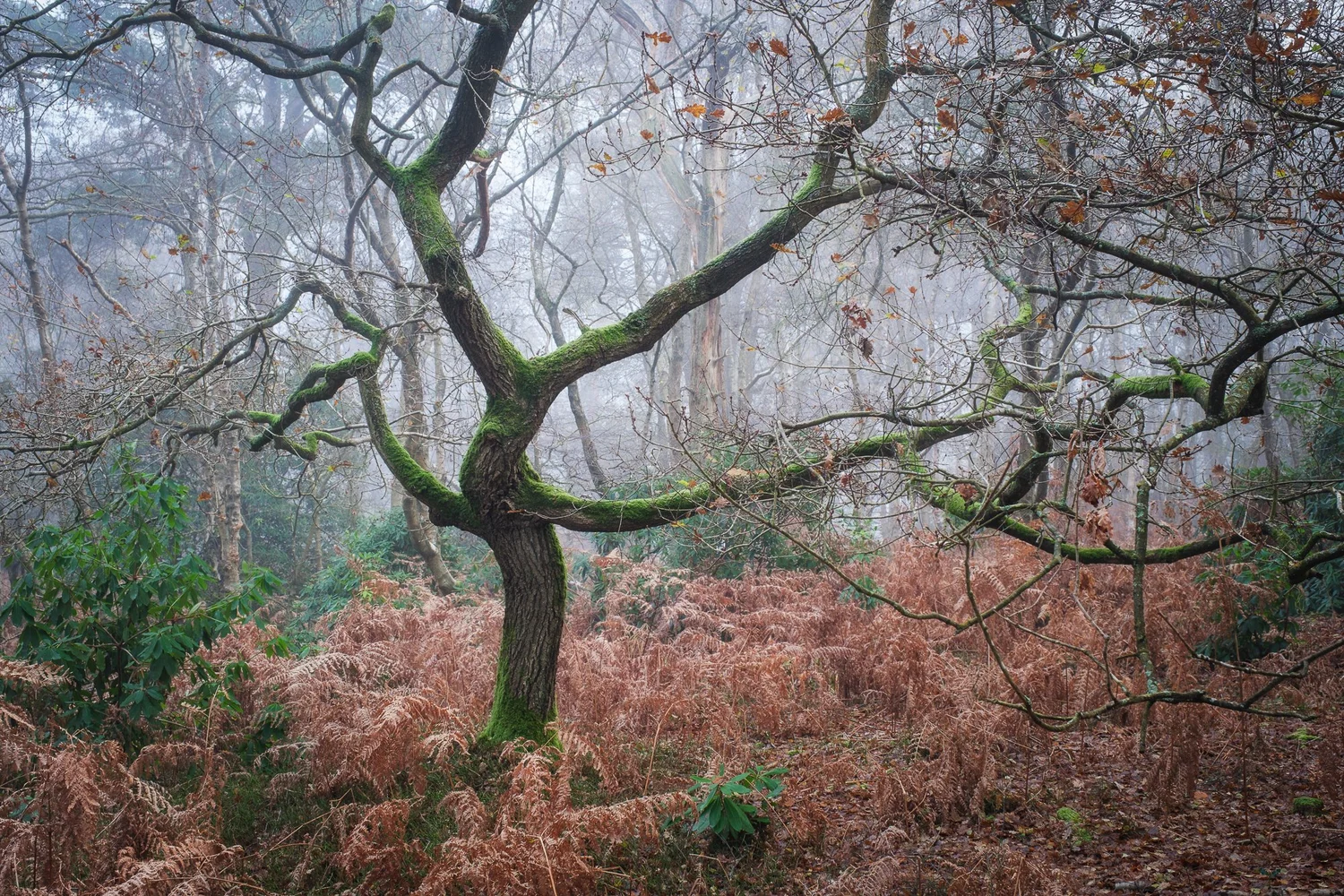 My Favourite Landscape Photos from 2023 | Trevor Sherwin Photography