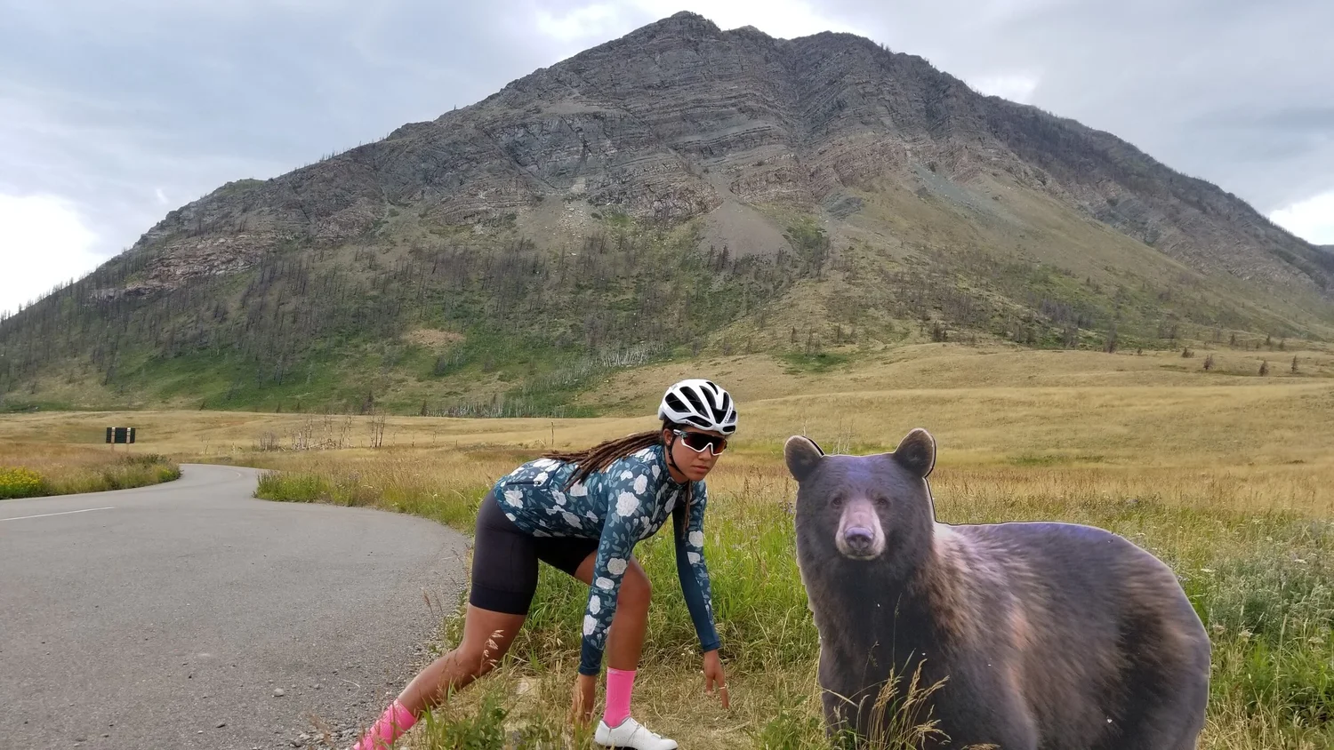 How to Plan a Route: On the Road with Alexa — The Black Foxes