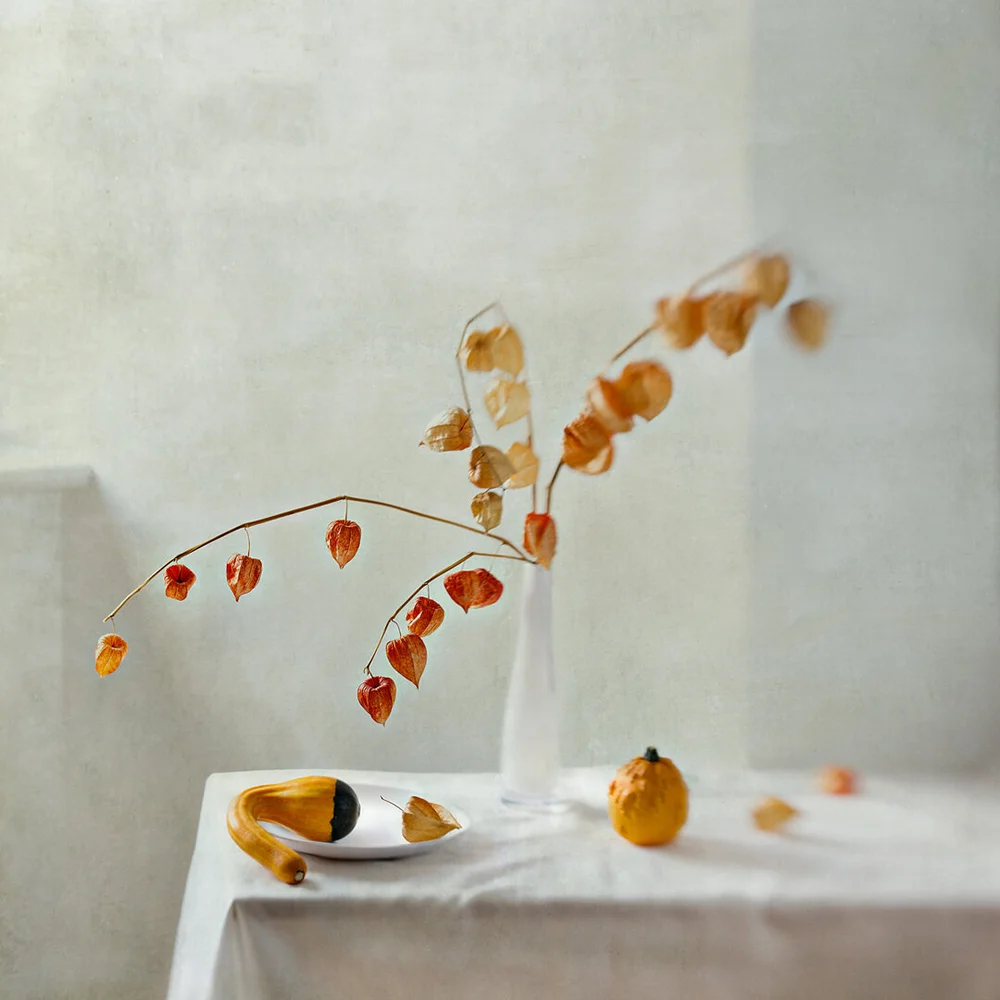 Lensbaby — Polina Plotnikova Photography