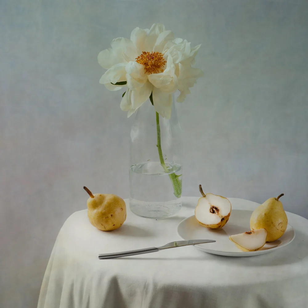Painterly — Polina Plotnikova Photography