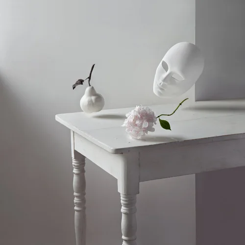 Still Life — Polina Plotnikova Photography