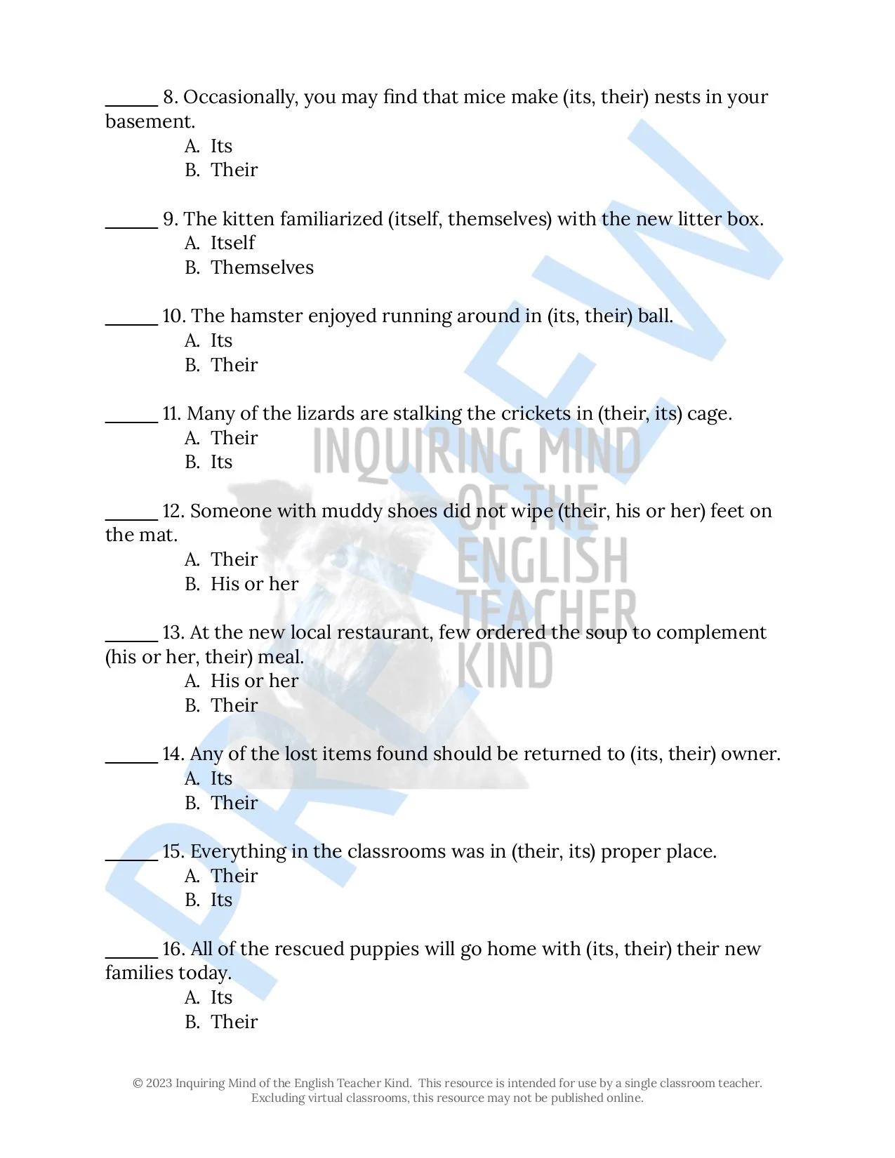 Grammar Practice Worksheet on Pronoun-Antecedent Agreement for High ...