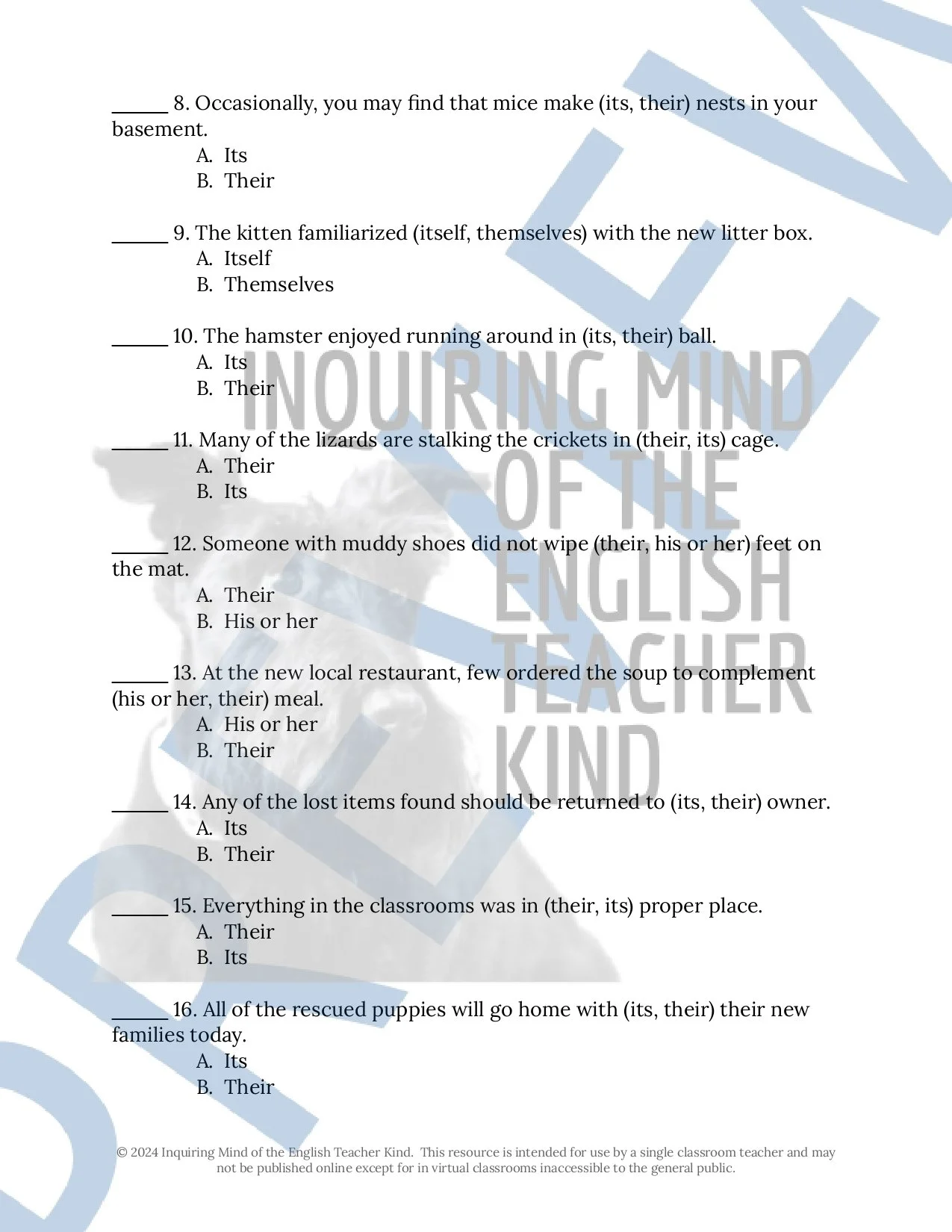 Grammar Practice Worksheet on Pronoun-Antecedent Agreement for High ...