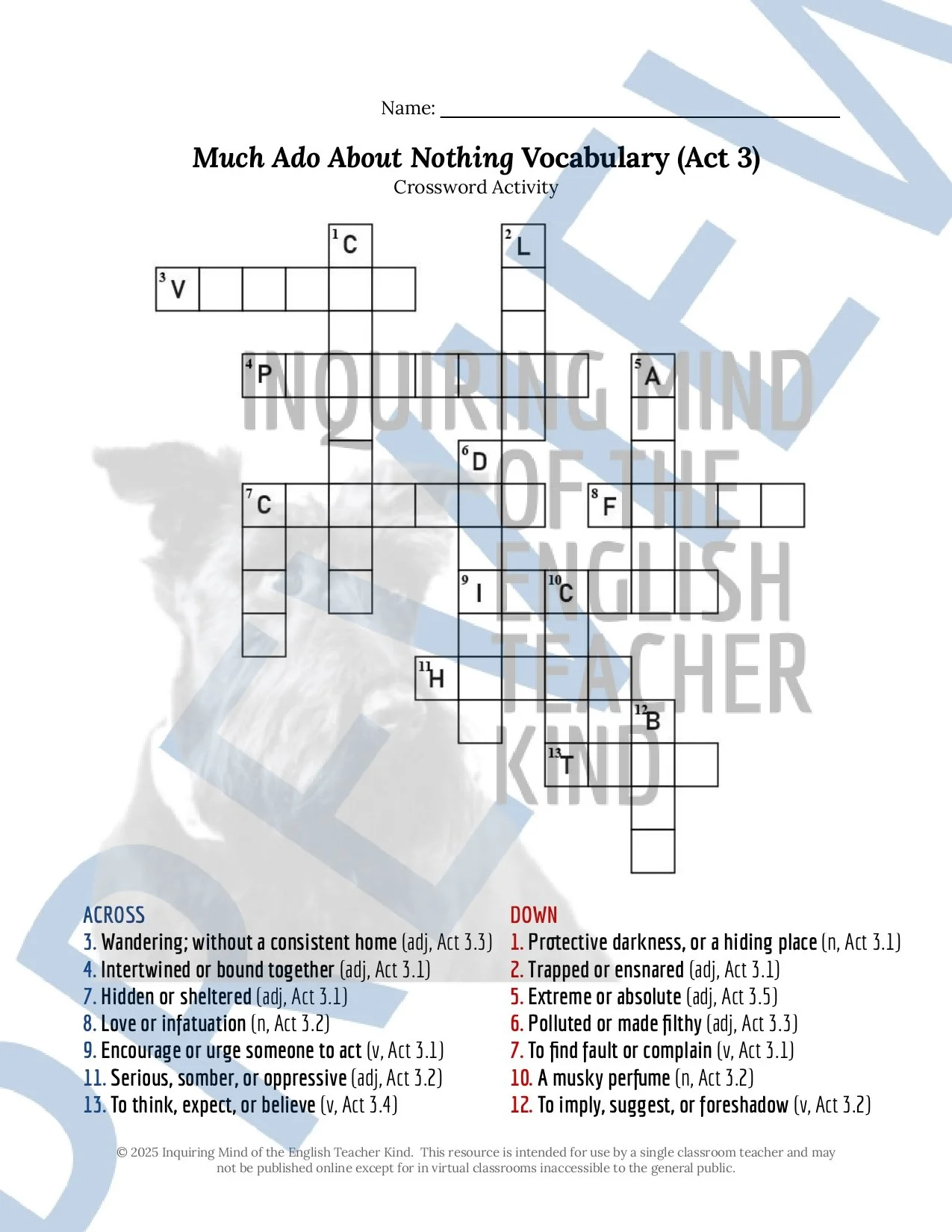 Shakespeare's Much Ado About Nothing Quizzes, Worksheets, Vocabulary ...