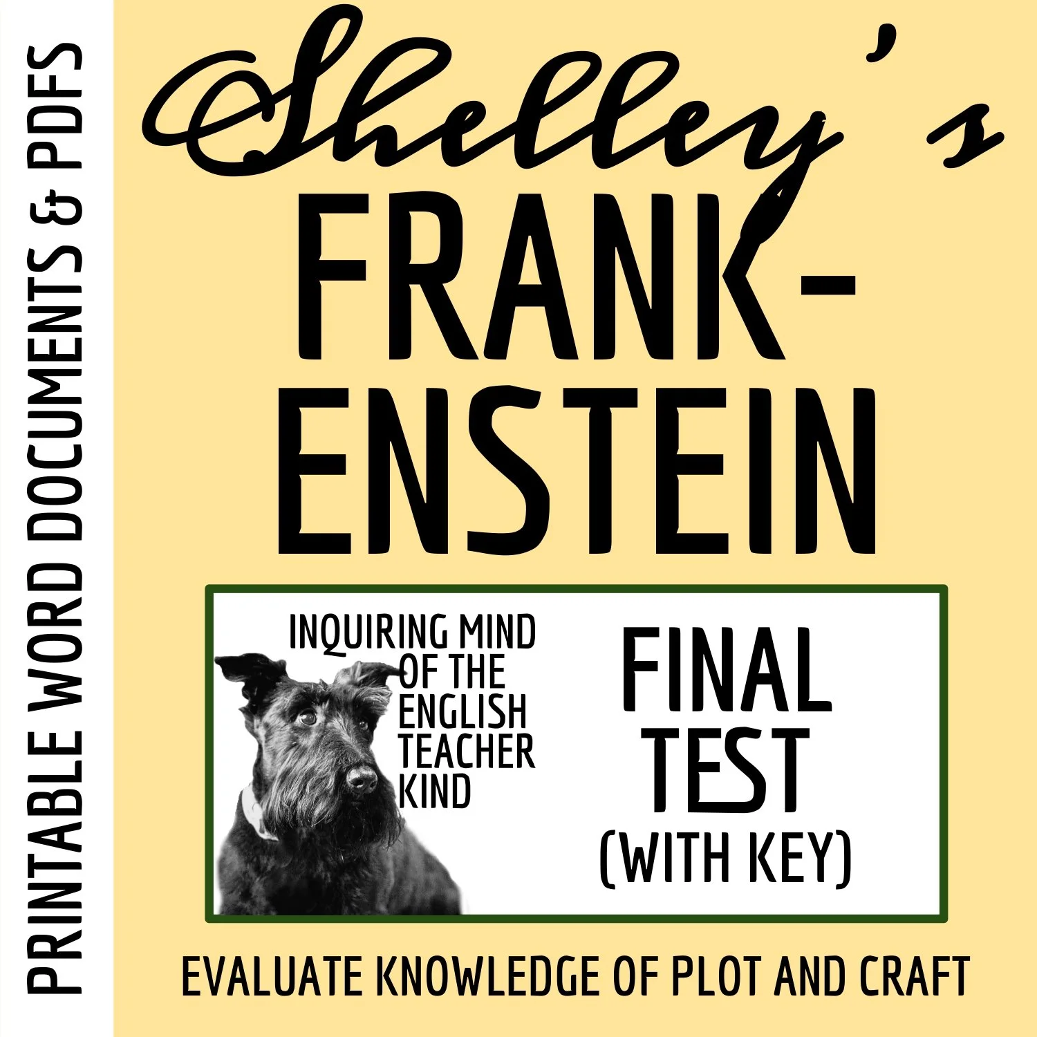 Frankenstein by Mary Shelley Test and Answer Key for High School ...