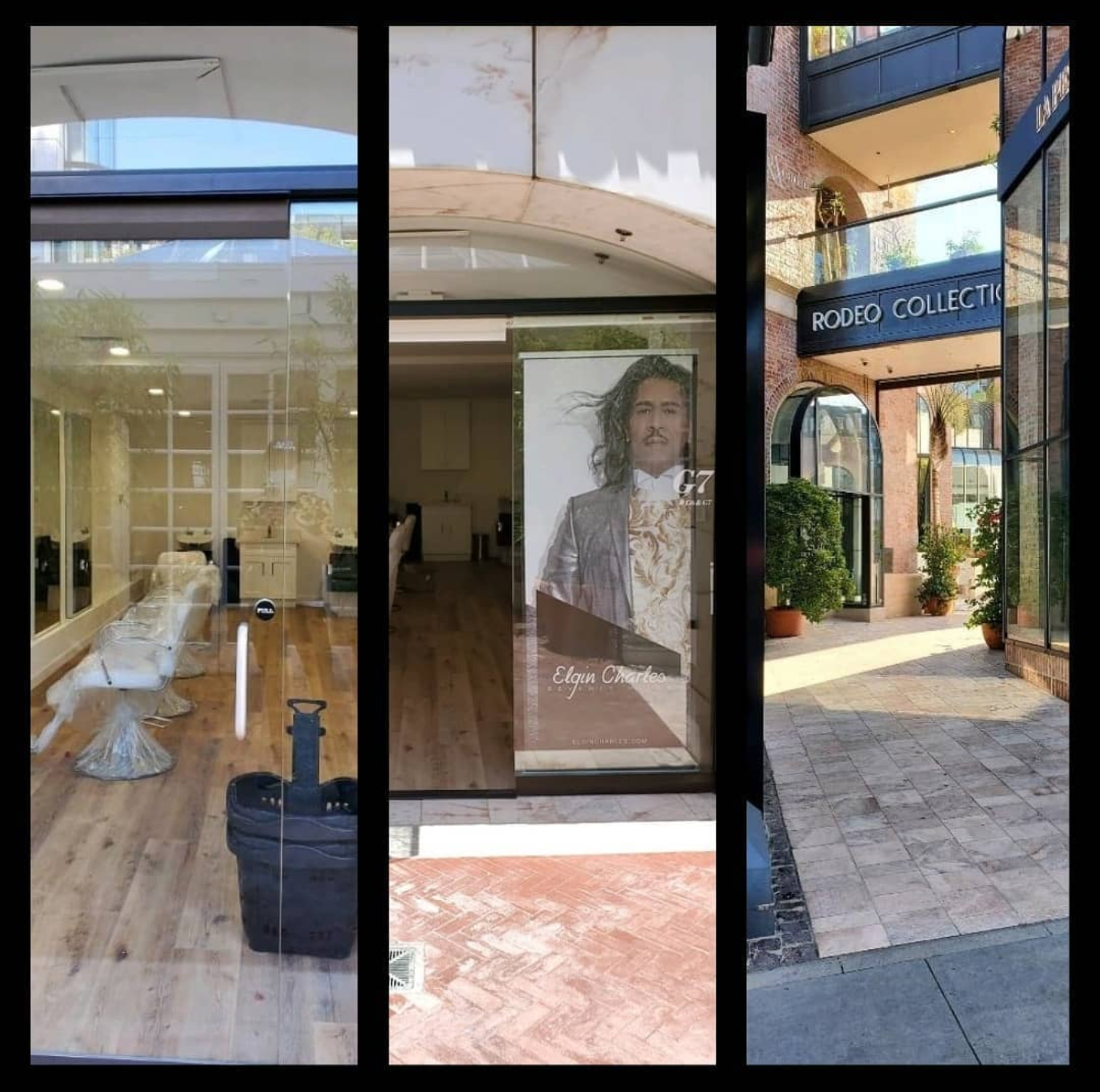 Elgin Charles - Emperor of Hair, King of Beverly Hills — YhorLife