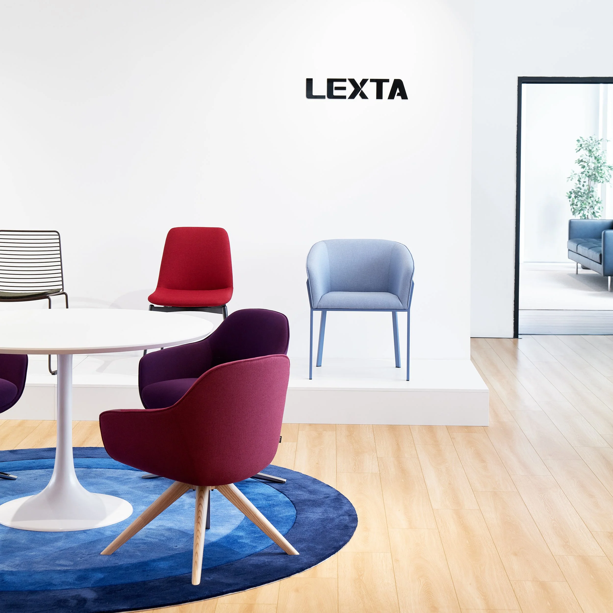 Projects - Lexta