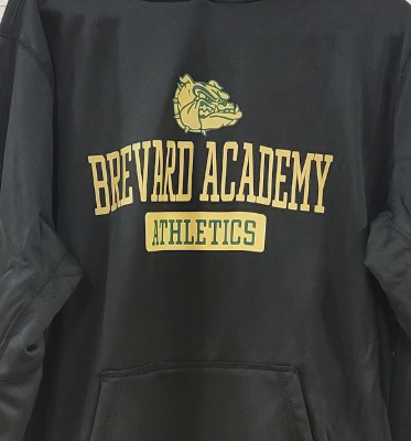 Brevard Academy — Services 1