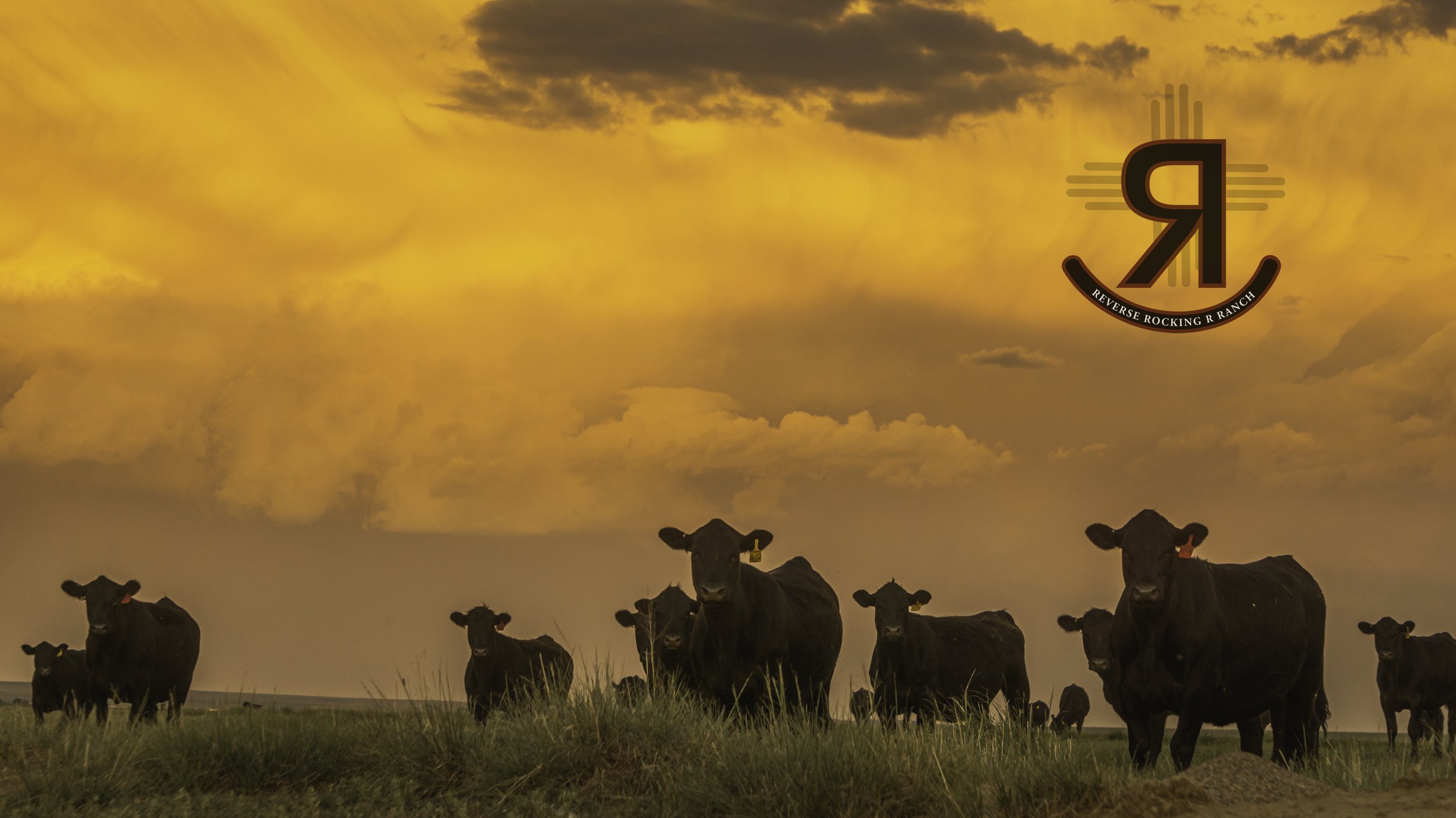 Reverse Rocking R Ranch