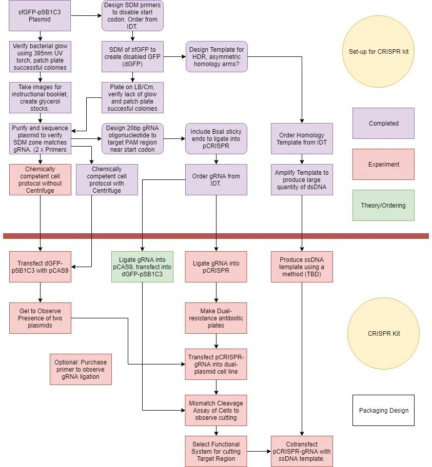 CRISPR/CAS9 Demonstration Kit Development Hell — NeoSynBio