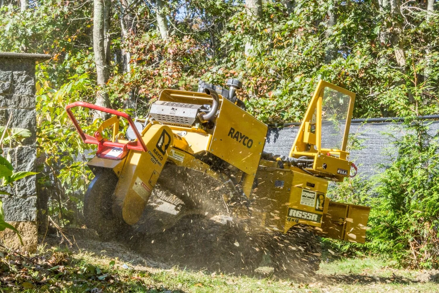 Tree Fellers