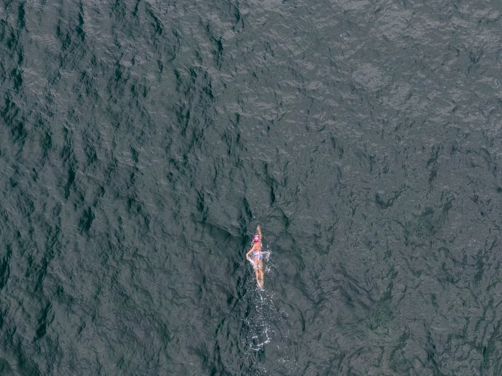 elizabeth lyon beisel