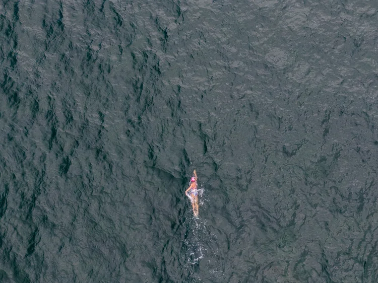 elizabeth lyon beisel