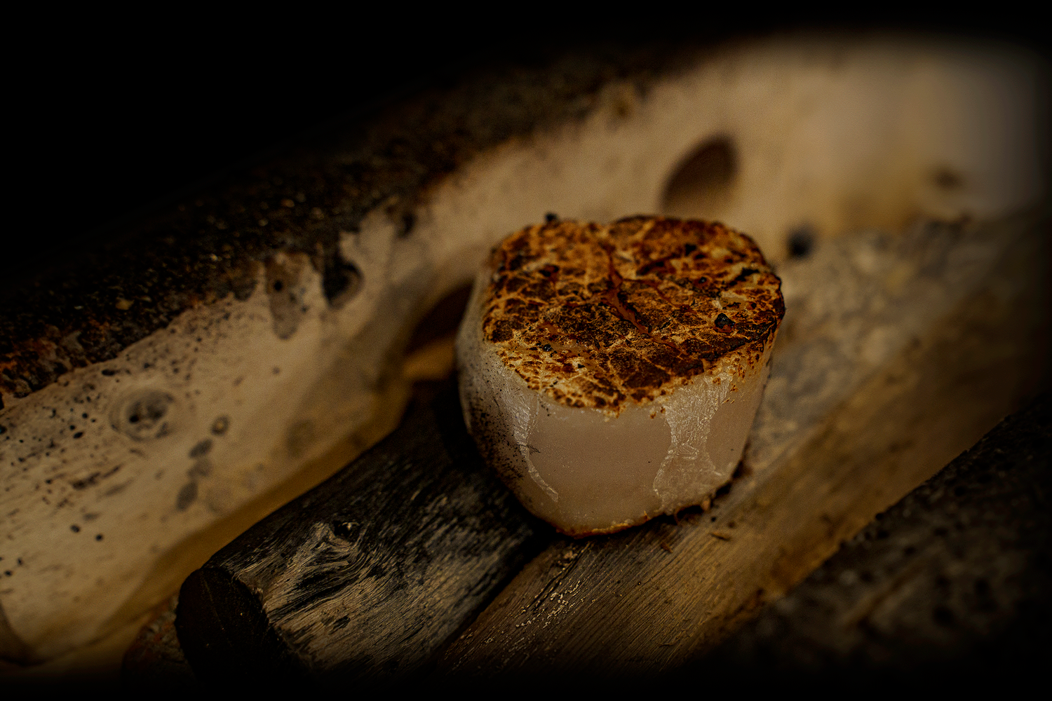 Tasting Menu in Charlotte I Counter-