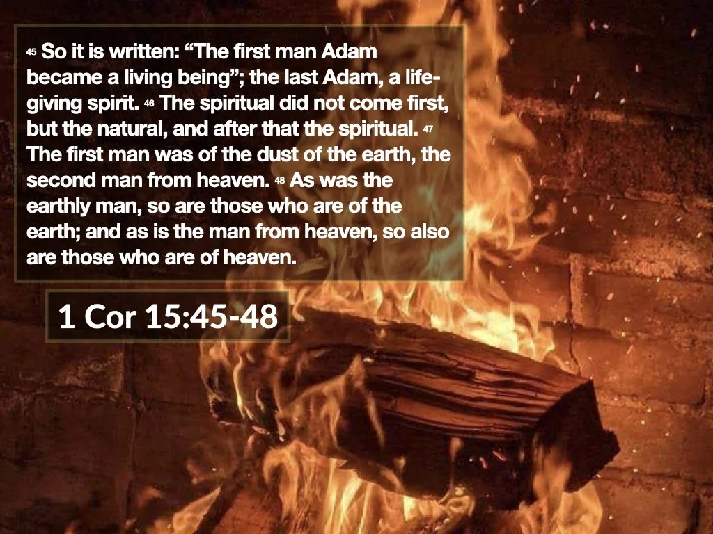 The Last Adam In Bible