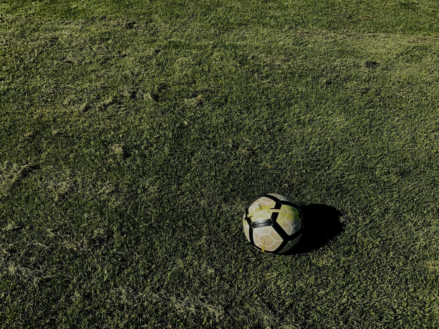 Training — Dynamic Soccer