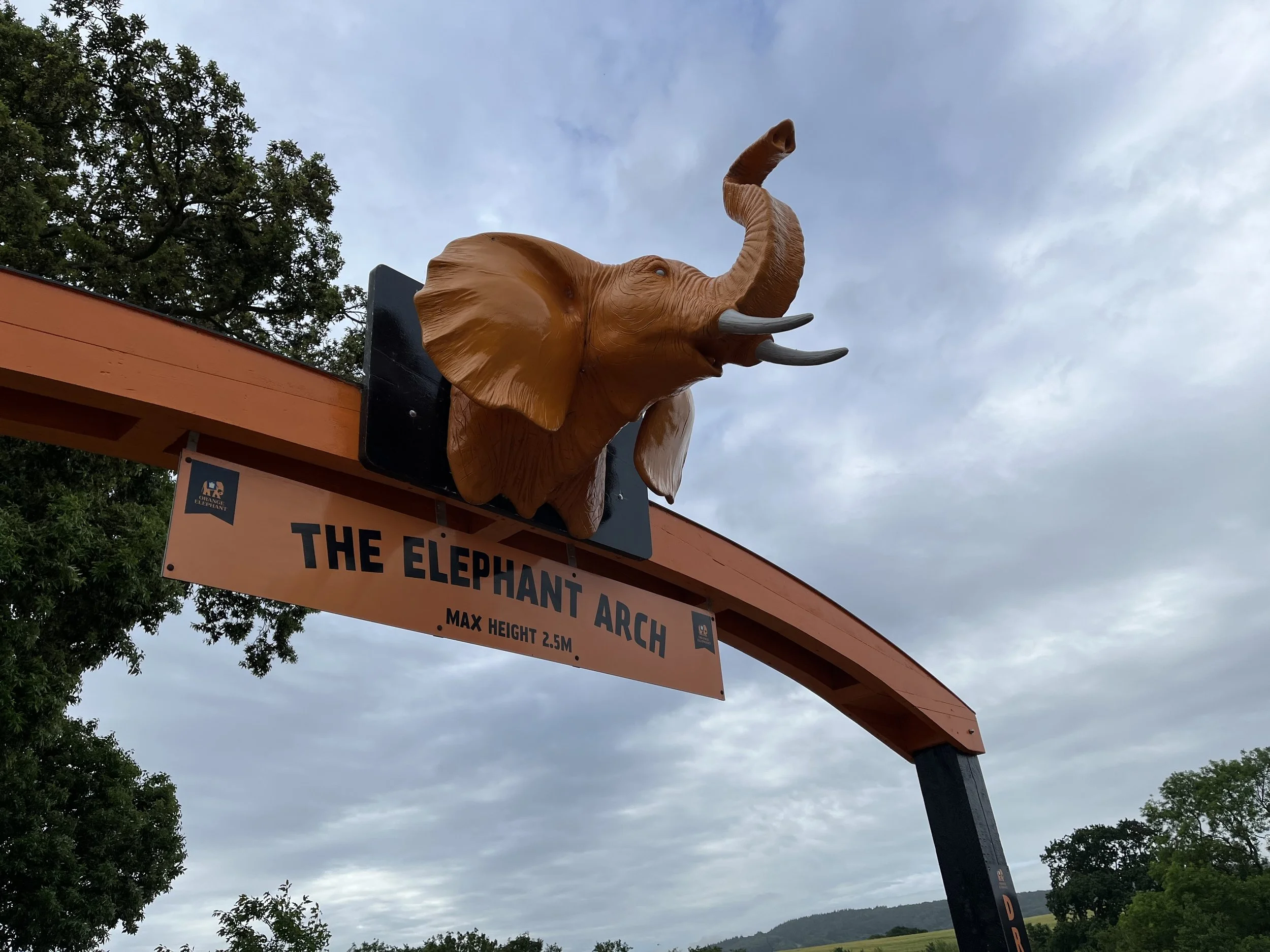 Orange Elephant Ice Cream