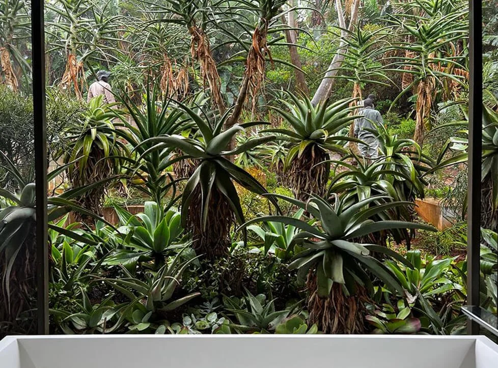 Simon Clements: Garden & Landscape Design