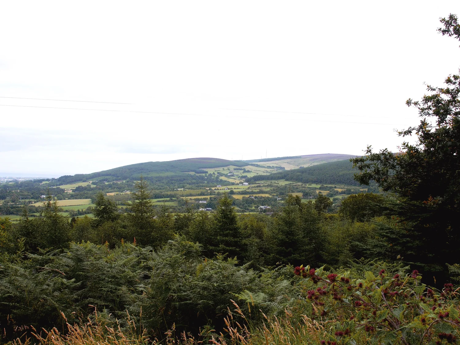 Discovering Dublin: The Hellfire Club — candid alexandra