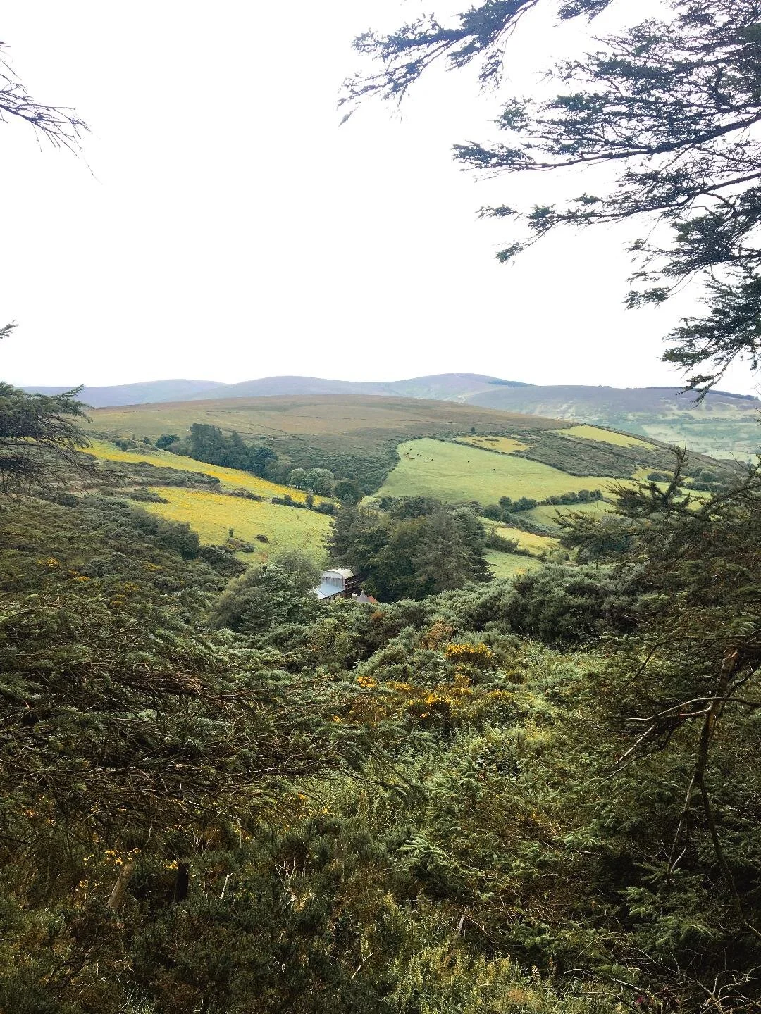Discovering Dublin: The Hellfire Club — candid alexandra
