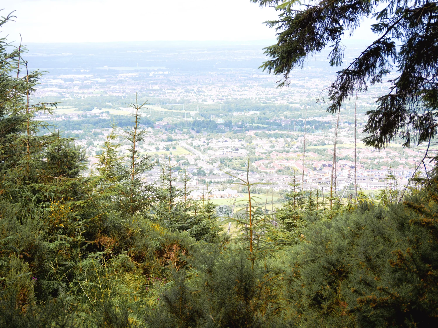 Discovering Dublin: The Hellfire Club — candid alexandra