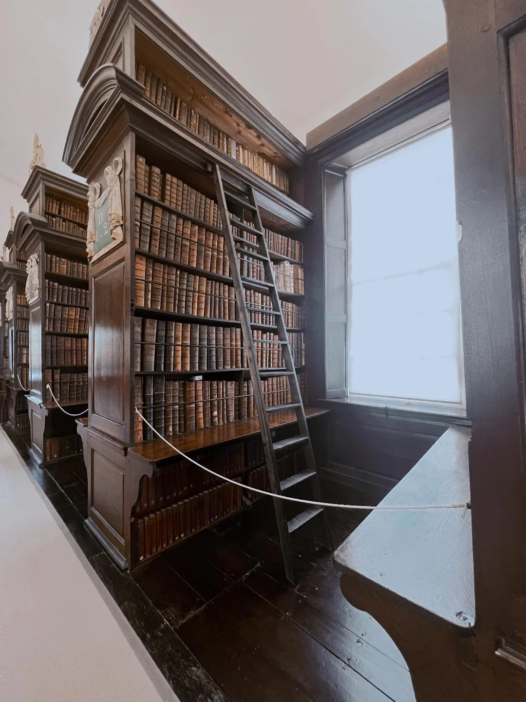 Marsh's Library Dublin — candid alexandra