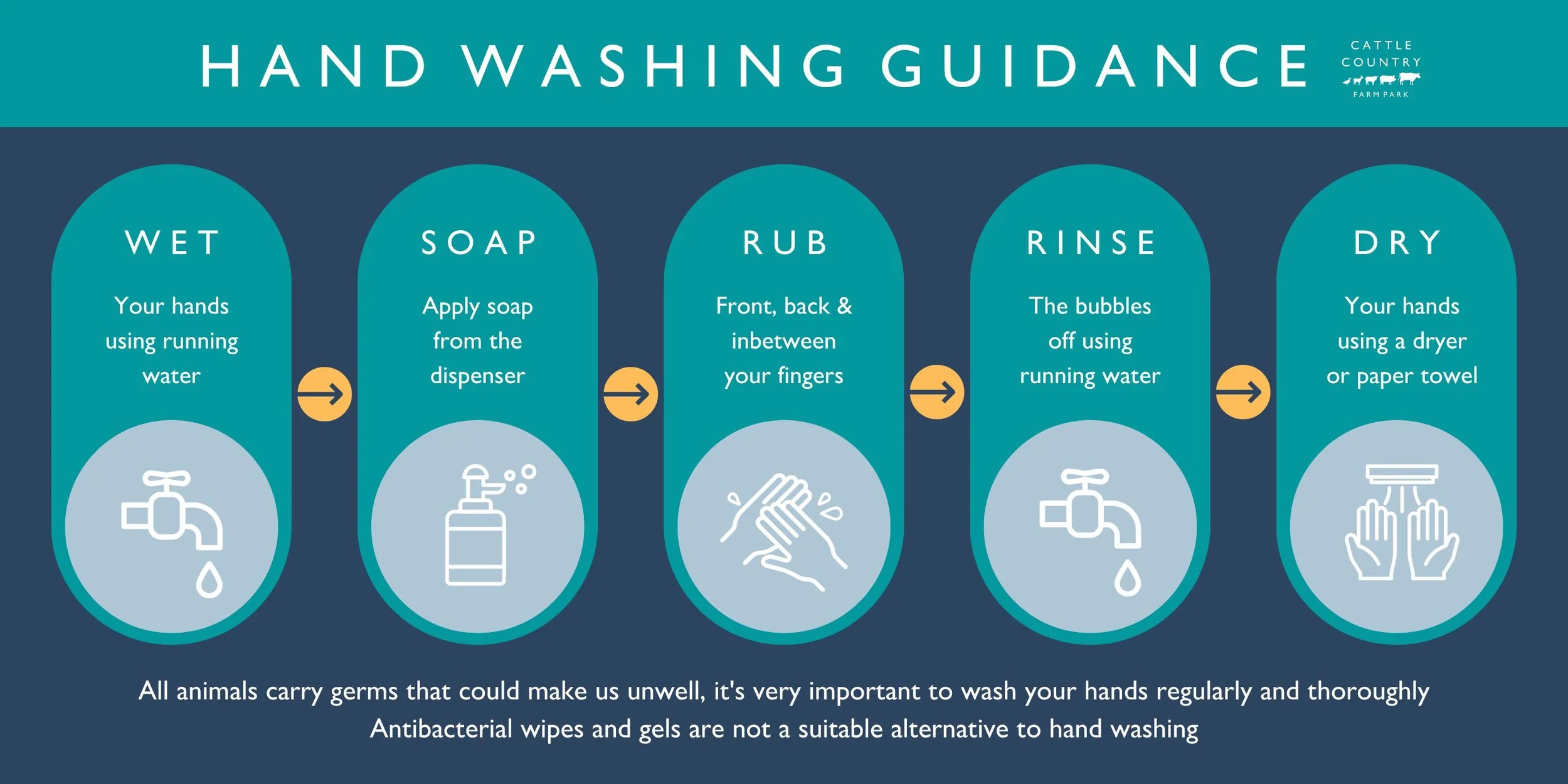 Meet the Animals — Cattle Country Farm Park