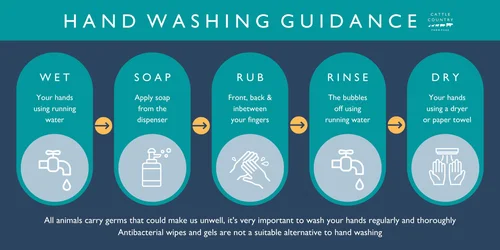 Meet the Animals — Cattle Country Farm Park