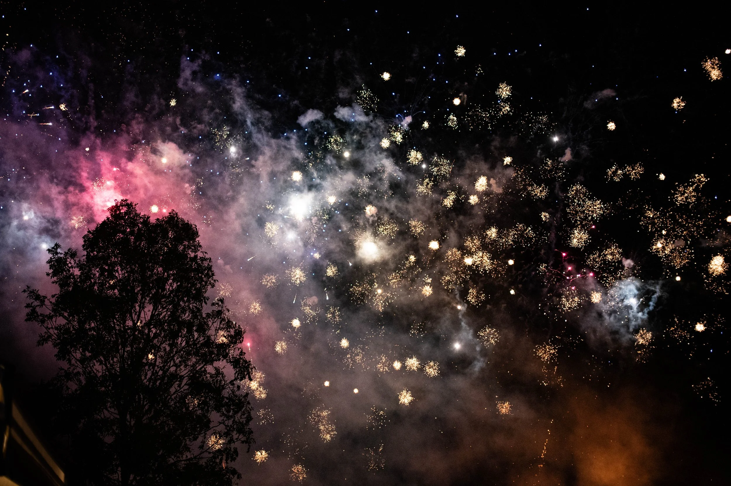 Family Fireworks — Cattle Country Farm Park