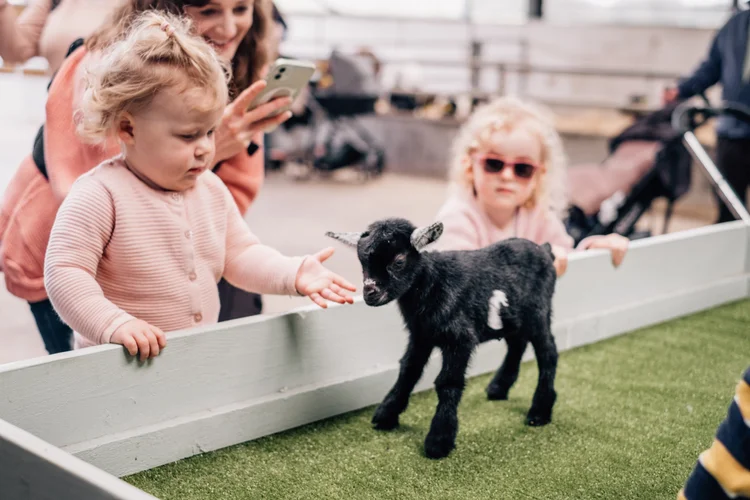 What's On | Things To Do — Cattle Country Farm Park