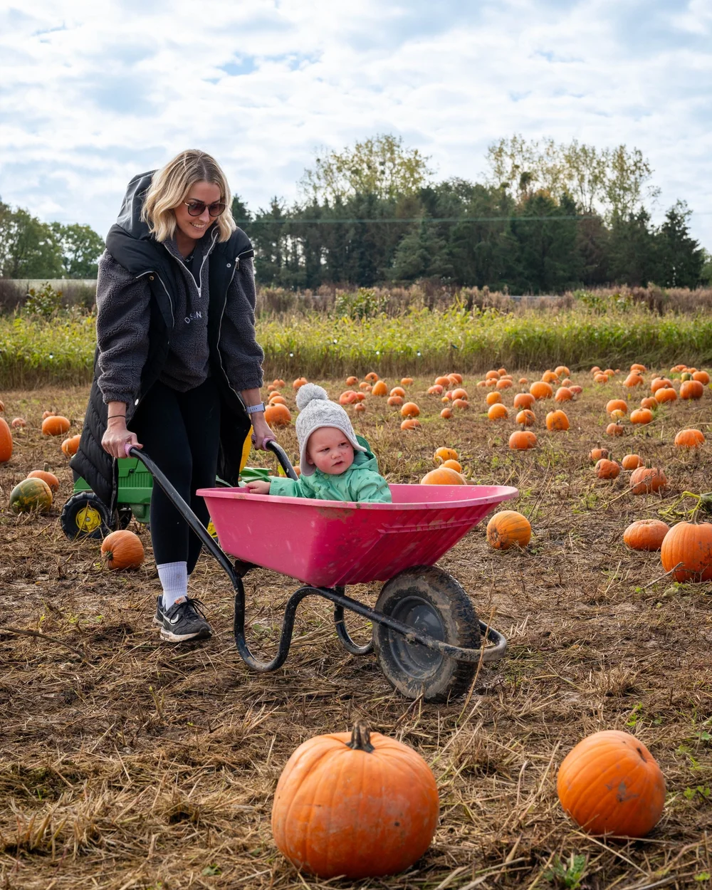 Pumpkin Patch And Farm | PYO — Cattle Country Farm Park