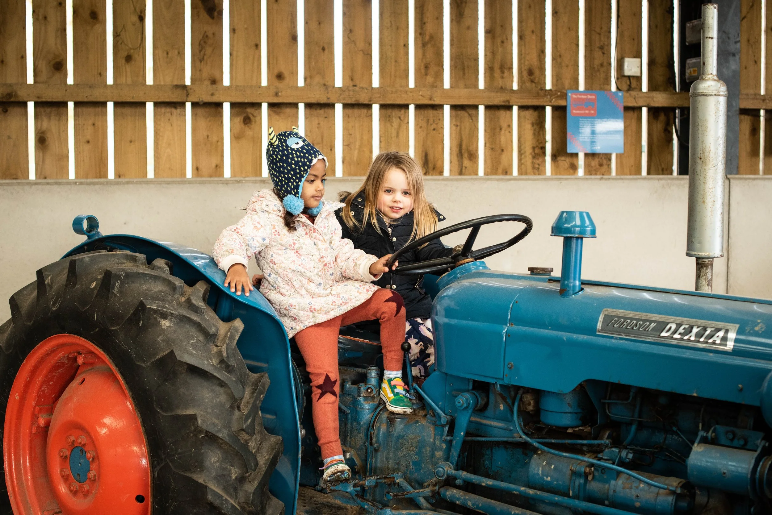 Meet the farm animals — Cattle Country Farm Park