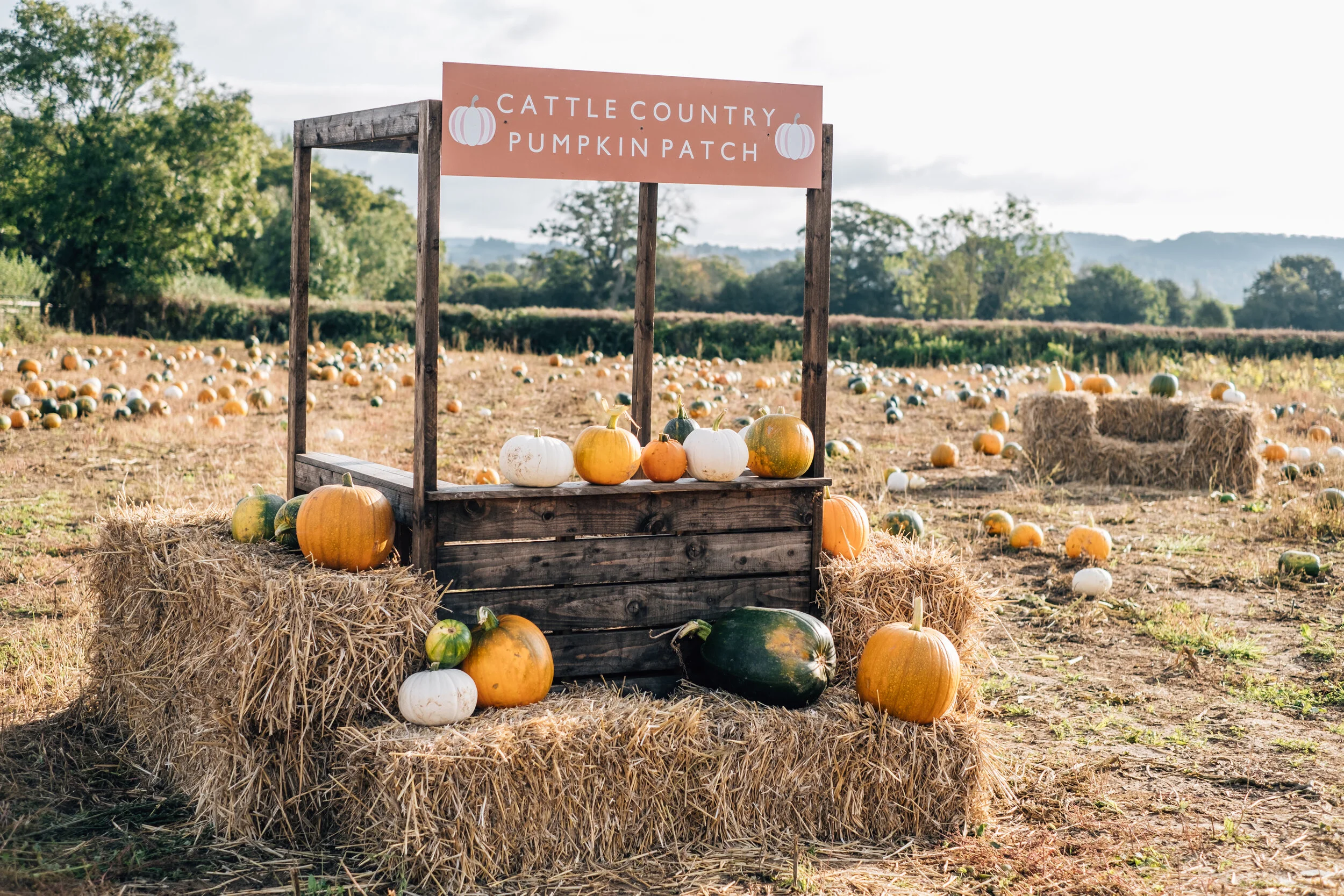 Opening hours — Cattle Country Farm Park