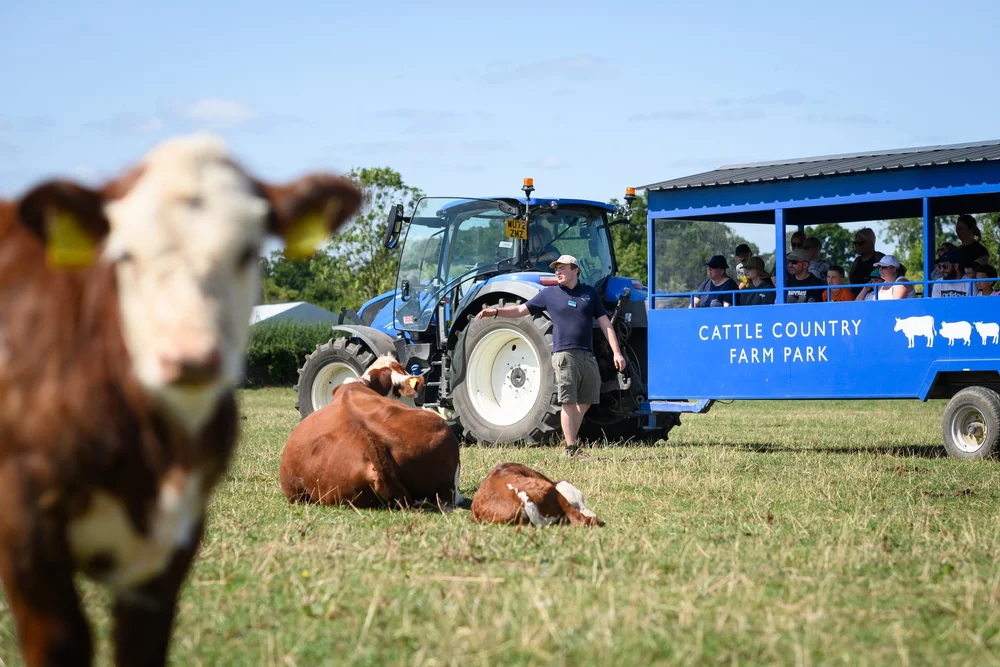 Meet the Animals — Cattle Country Farm Park