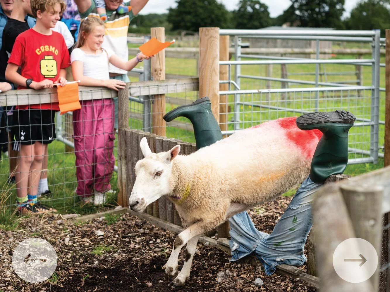 Attractions at Cattle Country — Cattle Country Farm Park