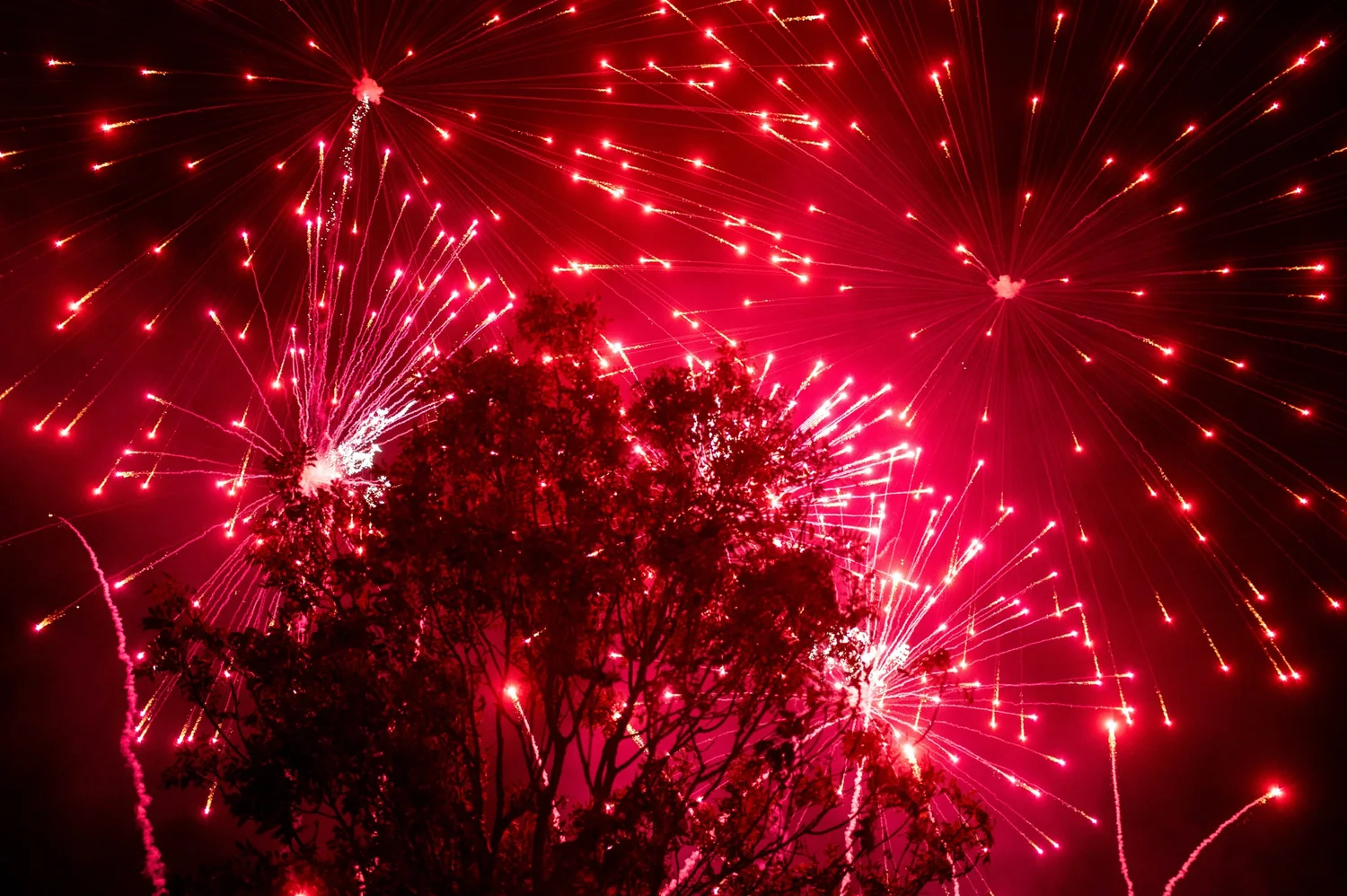 Family Fireworks — Cattle Country Farm Park