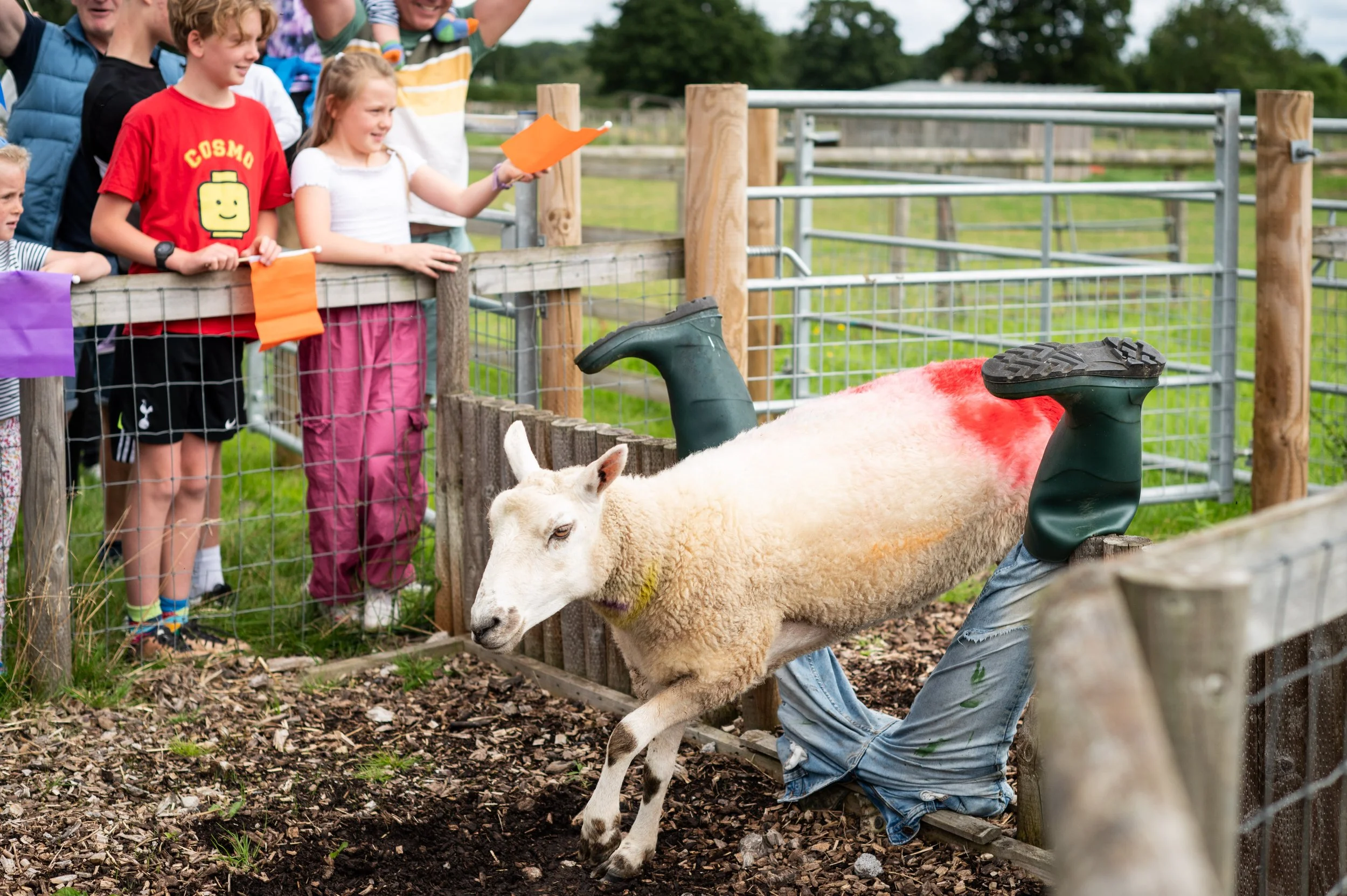 What's On | Things To Do — Cattle Country Farm Park
