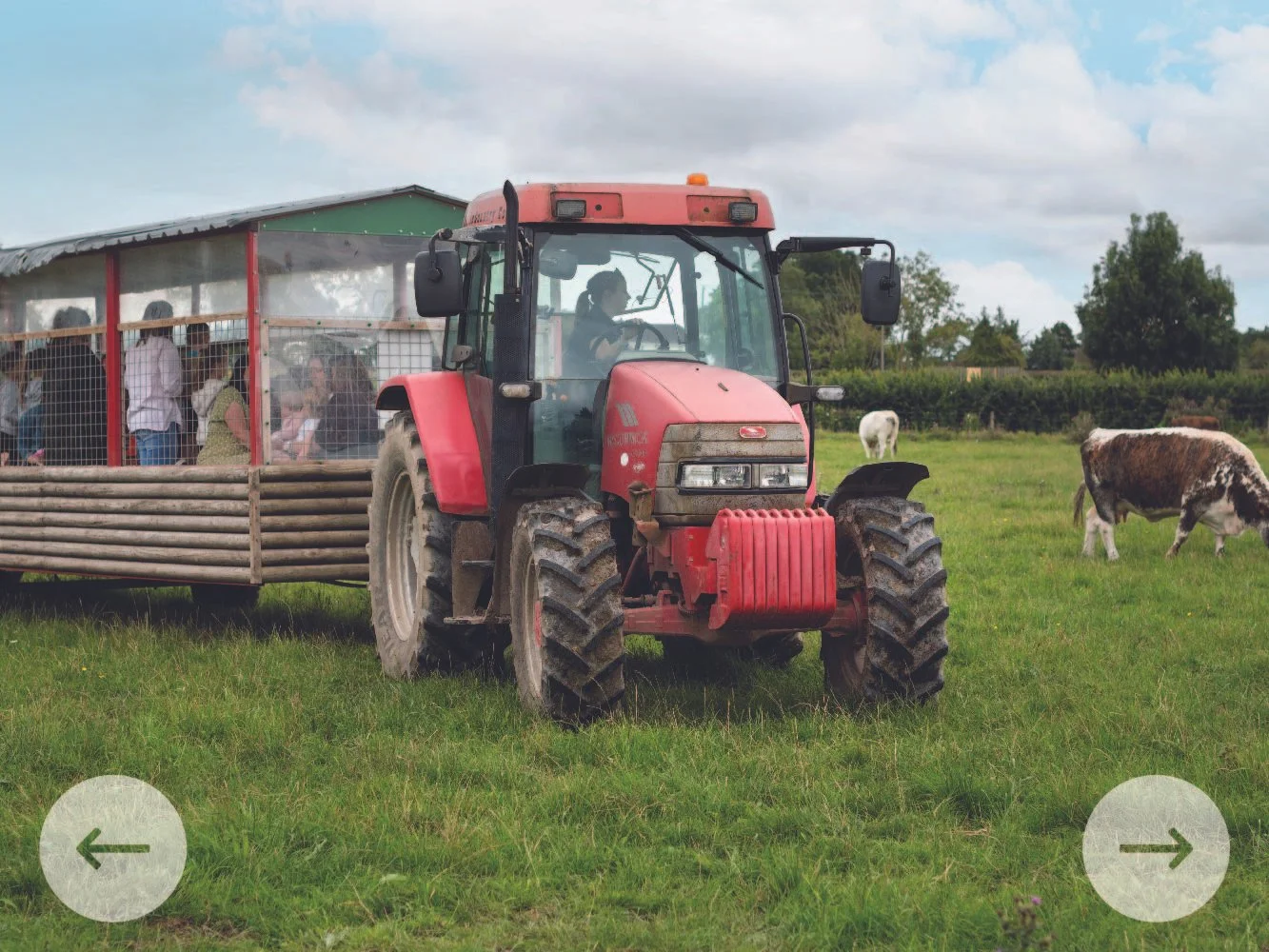 Attractions at Cattle Country — Cattle Country Farm Park