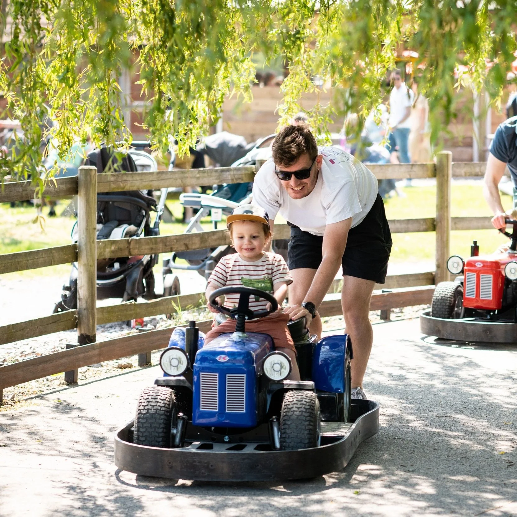 Attractions at Cattle Country — Cattle Country Farm Park