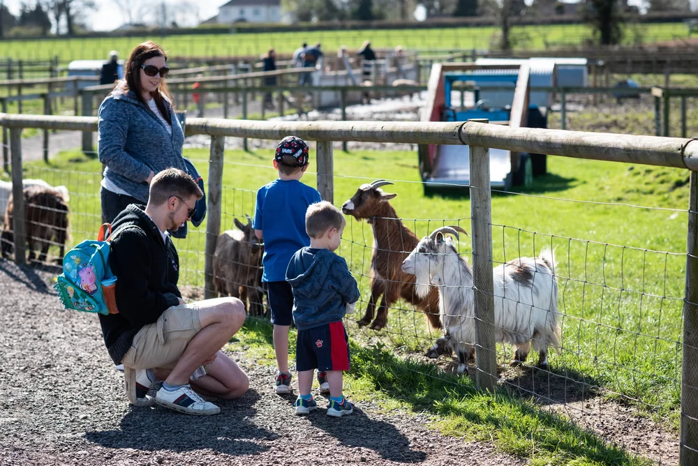 Meet the Animals — Cattle Country Farm Park