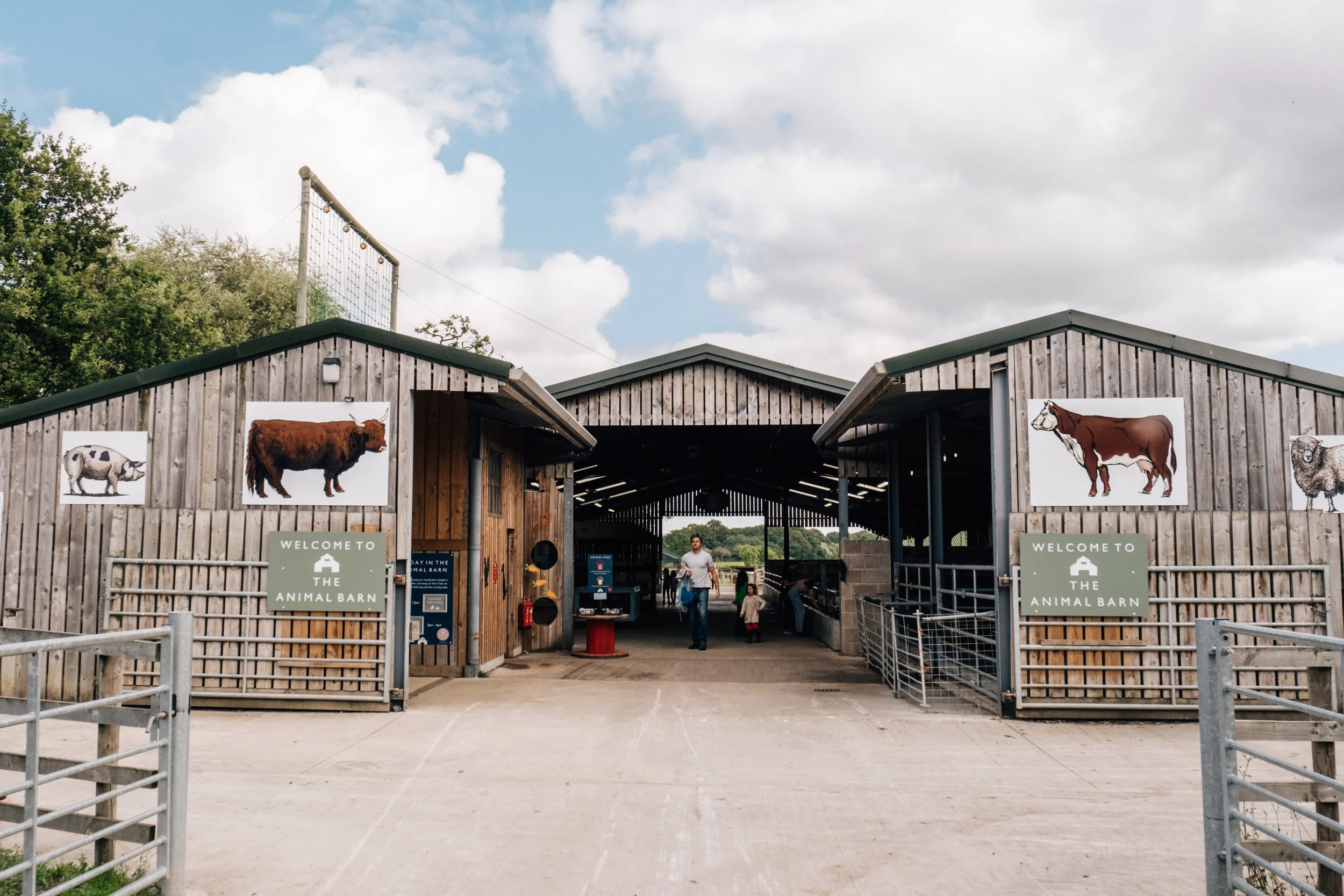 Meet the Animals — Cattle Country Farm Park