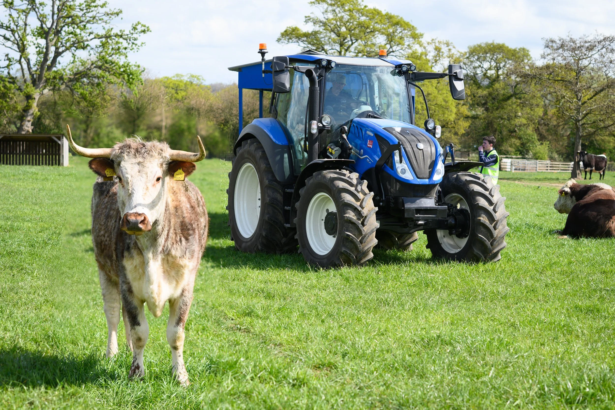 What's On | Things To Do — Cattle Country Farm Park