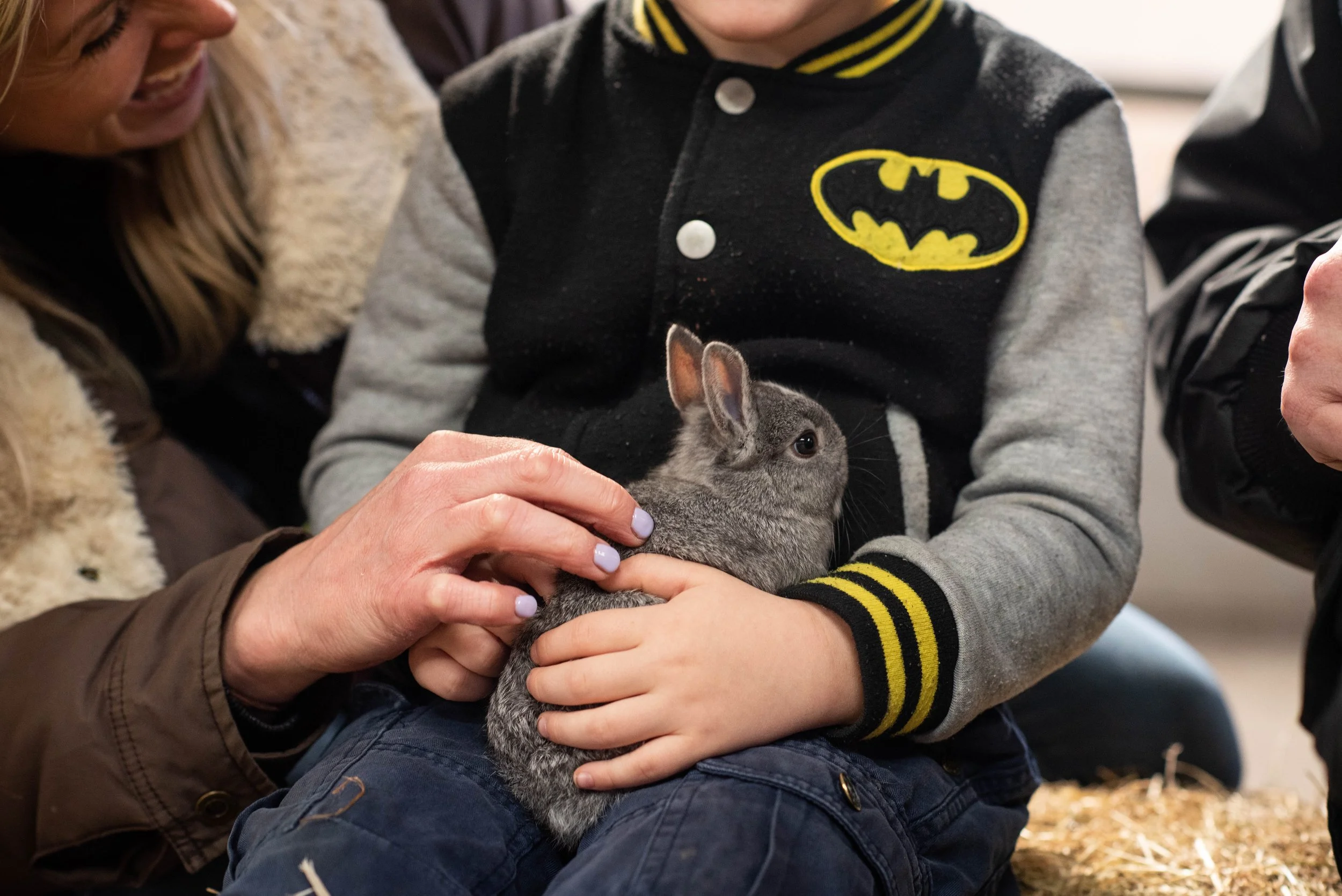 Meet the farm animals — Cattle Country Farm Park