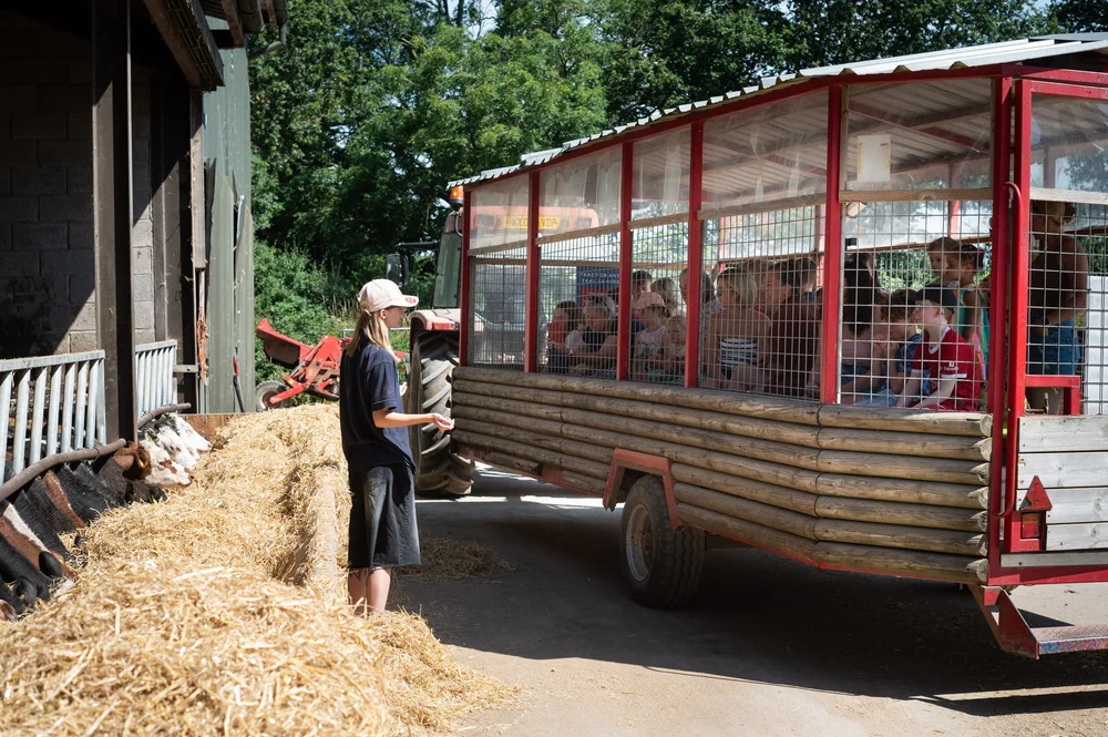 Meet the Animals — Cattle Country Farm Park