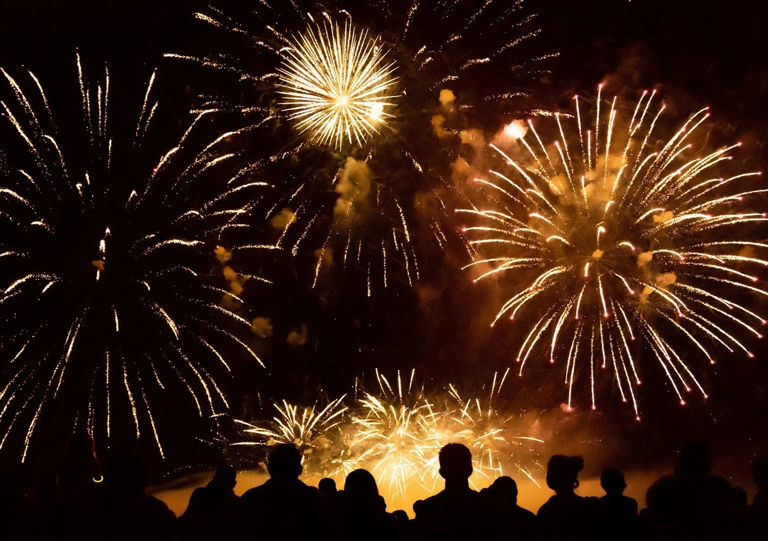 Family Fireworks — Cattle Country Farm Park