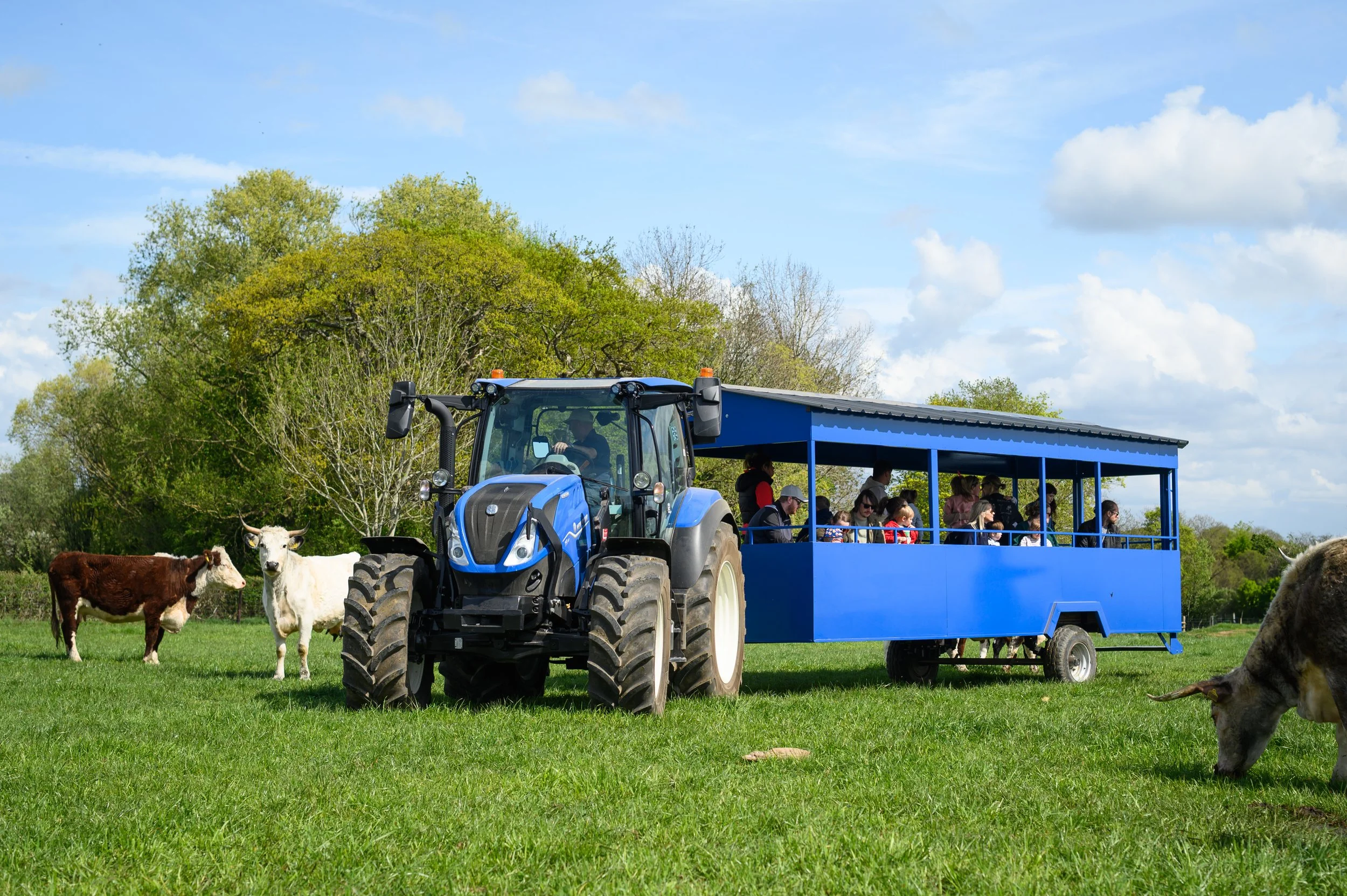 Meet the Animals — Cattle Country Farm Park